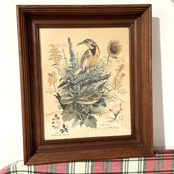 Wall Decor | Vintage Arthur B Singer Signed Bird Illustrations With ...